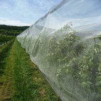 China Garden Netting, Plant Covers 10x33Ft Net Ultra Fine Mesh Protection Netting For Vegetable Plants Fruits Flowers Crops Greenhouse Row Cover Raised Bed Barrier Screen Protection Net Cover for sale