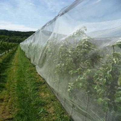 China Garden Netting, Plant Covers 10x33Ft Net Ultra Fine Mesh Protection Netting For Vegetable Plants Fruits Flowers Crops Greenhouse Row Cover Raised Bed Barrier Screen Protection Net Cover for sale