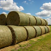 China Manufacturer HDPE Pallet Balers Net Wrap For Farm Hay Silage Corn Stalk Straw Bale Agriculture Bale Net Wrap for sale