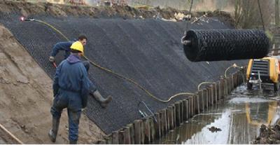 China Mike Pads Reinforced Mike Mat Reinforced Three-Dimensional Mesh PVC Coated Hot Dipped Galvanized Galfan Reinforced Composite Geomat Erosion Control Mat Soil Stabilization Matting Mud Control Mats for sale