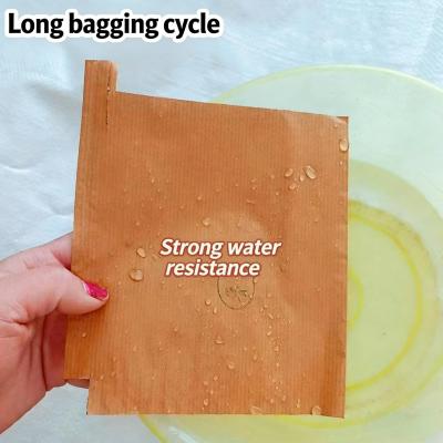 China Custom Fruit Protection Bags Double-Layer Thickened Paper Bags Universal For Pear & Apple Trees Factory Wholesale Protection Bags Sunproof, Insect & Disease Resistant for sale