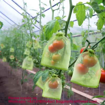 China Fruit Protection Bags, Fruit Bags For Fruit Trees, Green Netting Fruit Cover Bags Drawstring Mesh Fruit Protectors Pest Barrier For Fruit Trees Veggies Garden for sale