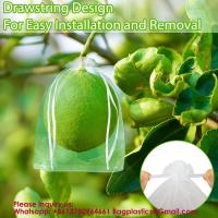 China Garden Fruit Protection with Drawstring Reusable Netting Mesh Bags Fruit Netting Bags Fruit Trees Fruit Cover Mesh Bag With Drawstring, Netting Barrier Bags Grapes Mango Fruit Trees Veggies Garden for sale