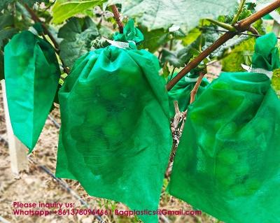 China Insect-Proof Fruit Covers Non-Woven Fabric Protective Bags For Outdoor Fruit Trees (For Insects And Birds), Grapes, Guava, Figs, Strawberries, Peaches, And Shine Muscat Grapes. for sale