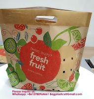 China Factory Price Coated Mango Fruit Growing Paper Bag Waterproof Mango Protection Paper Bag Fresh Fruit Stand up Pouch Stand up Pouch Disposable Plastic Ziplock Packaging Bags for Fruit and Vegetable for sale