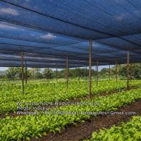 China Shade Net 70% Agricultural Green House Shade Net Manufacturing Agricultural Uv Protection Dark Green Lightweight Shading Net for sale