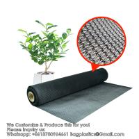 China Shade Net 70% Agricultural Green House Shade Net Manufacturing Agricultural Uv Protection Dark Green Lightweight Shading Net for sale