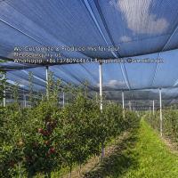 China Dark Green Shade Net Shade Cloth For Plants Shading Netting For Patios Shade Netting For Plants Knitted Wire Plastic Mesh Agricultural Shade Netting Shade Net Exporters for sale