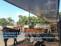 China Knitted Wire Plastic Mesh Agricultural Shade Netting Shade Net Exporters Shade Net Suppliers Shade Net For Backyard Vegetable Garden Shade Cloth for sale