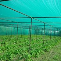China Wholesale Shade Net Or Garden Green Sun Shade Cloth Netting For Sale Factory Agriculture 3 Needles 70GSM Green Tape Shade Net Flat Tape Black Shade Cloth for sale