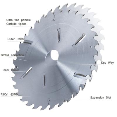 China Multi-blade saw blade for sale