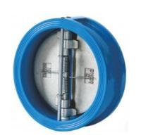 China PN10 PN16 Cast Iron Check Valves Wafer Style Check Valve Lightweight Design for sale