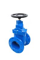 China DIN3352 C Type Cast Iron Gate Valves Elastic Sealed Non Rising Stem Gate Valve for sale