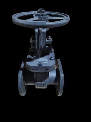China Bolted Bonnet Cast Iron Gate Valves Brass Trim Suitable for Water Medium Ensuring Long Term Durability and Efficiency for sale