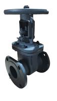China Gas and Hydraulic Media Resilient Carbon Steel GOST Gate Valve for Industrial Applications for sale