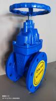 China Customized Ductile Iron Flanged Soft Seal Pn16 Gate Valve with Manual Operated Function for sale