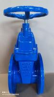 China Industry BS5163/ EN 1171 PN25 Resilient Seated Ductile Iron Gate Valve with Rising Stem for sale
