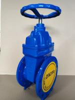 China Handwheel Operated Soft Seal Resilient Seated Cast Iron Flange Gate Valve for Water system for sale