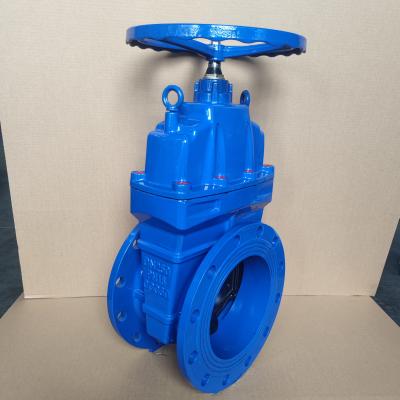 China CUSTOMIZED Port Size Water System Bellow Seal Gate Valve for Drainage Installations for sale