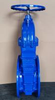 China GB DIN ANSI GOST Standard Cast Iron Gate Valve For Industrial Application for sale