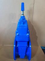 China DN40-DN1200 Cast Iron Resilient Seat Gate Valves OEM Anti Corrosion Coating for sale