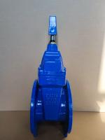 China Industry Water Valve Resilient Seat Soft Flange Water Control Cast Iron Gate Valve for sale