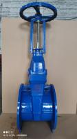 China Rising Stem Flexible Wedge Gate Valve in Cast Iron for Industrial Flow Control for sale
