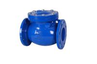 China Metal-Seated Check Valve with Metal-to-Metal Hard Seats for High Temperature Resistance and API 594 Compliance for sale