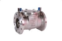 China Stainless Steel Backflow Preventer Check Valve DF41X-16P with PN16 Pressure Rating for sale