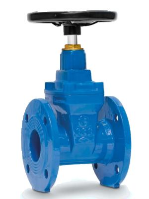 China Premium Resilient Seated Gate Valve - Leak-Proof Seal, Corrosion & Wear Resistant, Low-Torque Operation for Water Systems for sale