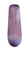 China 7.75 Inch Newest Hot Custom Professional Standard 7 Ply Maple Concave Skateboard for sale