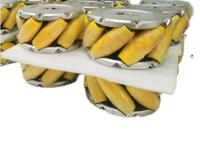 China 10 Inch 254mm Mecanum Wheel for sale