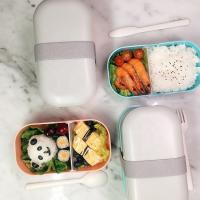 China Stay Eco-Friendly on Your Picnic with our 2-Layer Organic BPA Free Plastic Lunch Box for sale