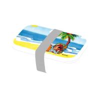 China Kid School Lunchbox Insulated Lunch Box with Spoon and CLASSIC Design Plastic Container for sale