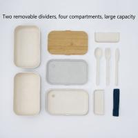 China Leak-proof Eco-friendly Customizable Bento Box Microwave Safe for Kids and Adults for sale
