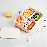 China Convenient Bento Lunch Box for Kids Includes Soup Cup Heat Preservation Bags for sale