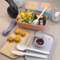 China T105A 19.5*12.25*7.35cm Acceptable Keep Fresh Lunch Box with Bamboo Lid for sale