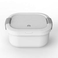 China Modern Large Salad Bowl with Spoon and Fork 190*150*100 mm PP Inner Tray for sale