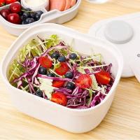 China Large Capacity Plastic Salad Bowl The Trend for OEM ODM Bento Lunch for sale