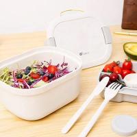 China PP Plastic Type Custom Large Capacity Food Container Kids Bento Snack Box for Children for sale