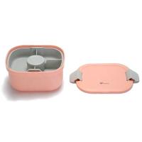 China 506g Large Capacity Rectangle Salad Fruit Bowl Container for Lunch 5 Compartment Box for sale