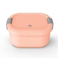 China 506g White Eco Friendly BPA Free Salad Container Set for Kids Lunch and Fridge Storage for sale
