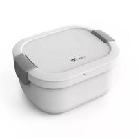 China Multifunctional Rectangle Eco BPA Free Plastic Salad Fridge Storage Container with Bag for sale