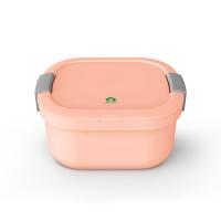 China BPA Free Plastic Salad Fruit Bowl Container for Lunch 5 Compartment Box for sale