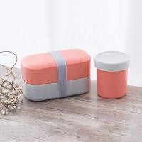 China Japanese Bento On-the-Go Double Layer Food Grade Lunch Box Set Eco Plastic BPA Free for sale