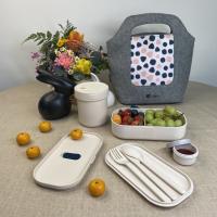 China Sample Free Sample Food Grade Microwave Safe Plastic Bento Lunch Box with Cutlery 226g for sale
