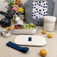 China Household Microwave Safe Lunch Box with Fresh-Keeping Function and Eco-Friendly Design for sale