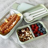 China Freshness Preservation Food Grade BPA Free Custom Logo Color PP Plastic Lunch Box for Kids for sale