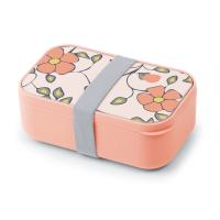 China Teenagers' Lunch Box 1000ml Capacity 2 Space Container and Eco-Friendly Material for sale