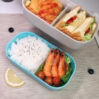 China Food Storage Container BPA Free with 2 Layers and Cutlery Included for sale